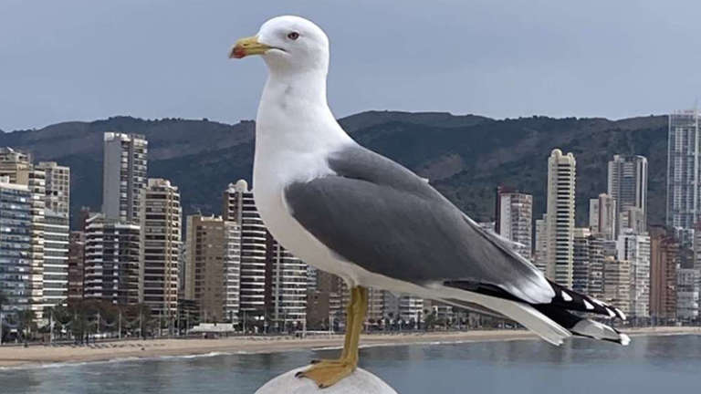 Food - Bazar Magazin | Magazine de l'art de vivre - Lifestyle & Tendances